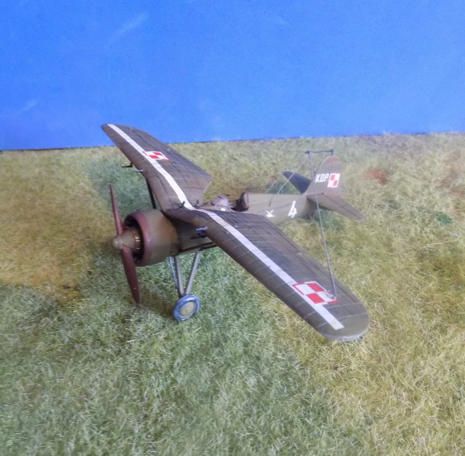 Legendary Polish PZL P.11c Fighter. ‘Kresy’ Polish Eastern Borderlands ...